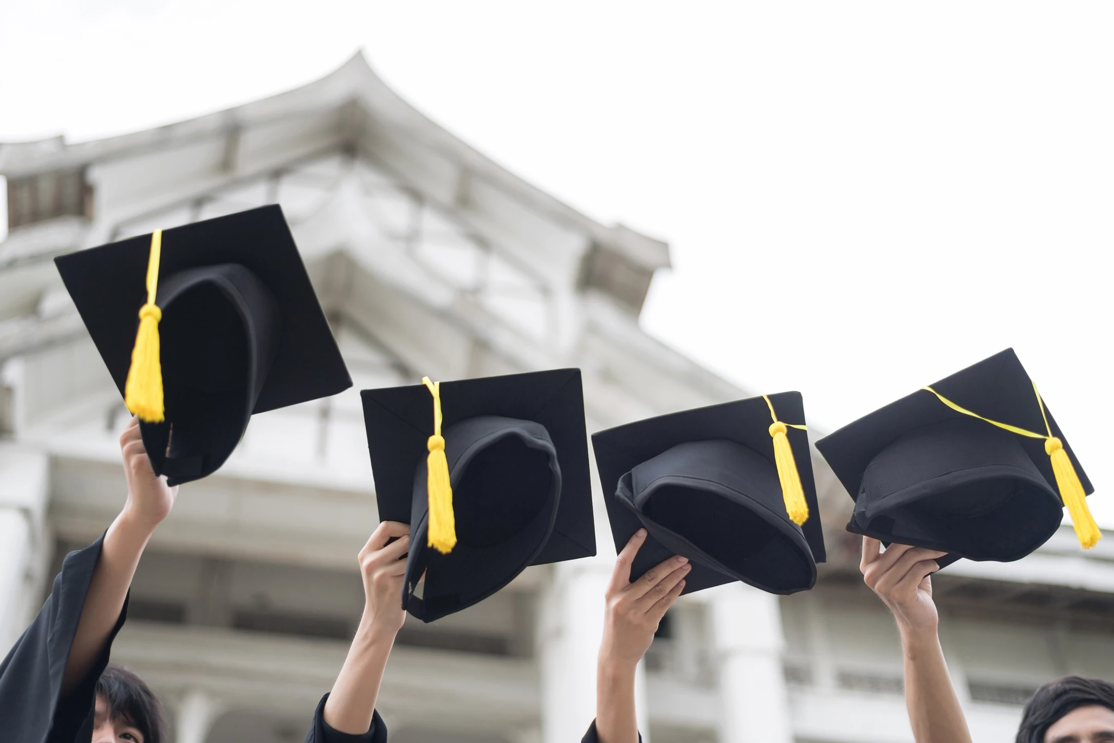 Polytechnic graduates finding themselves in high demand - Chief of ...