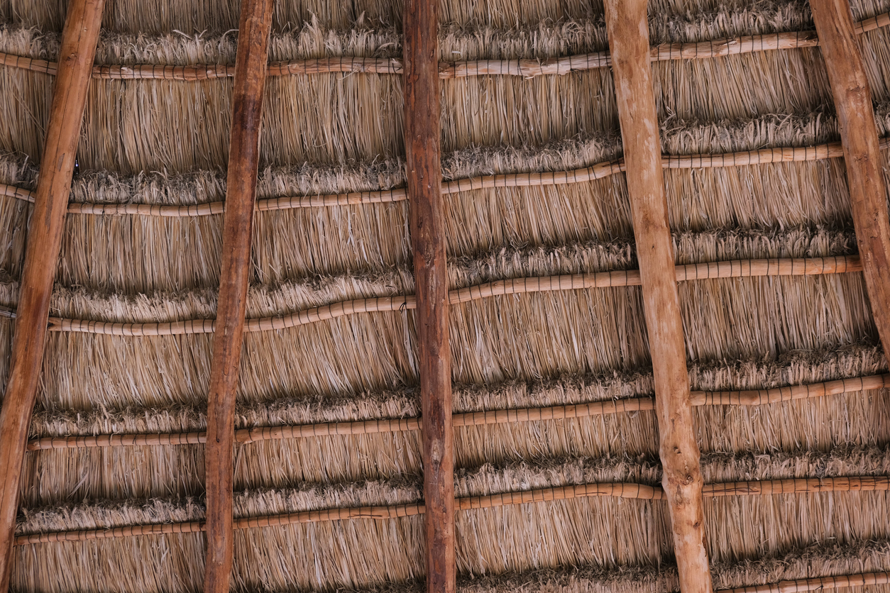 The First Word: Breaking the bamboo ceiling facing Asian leaders ...